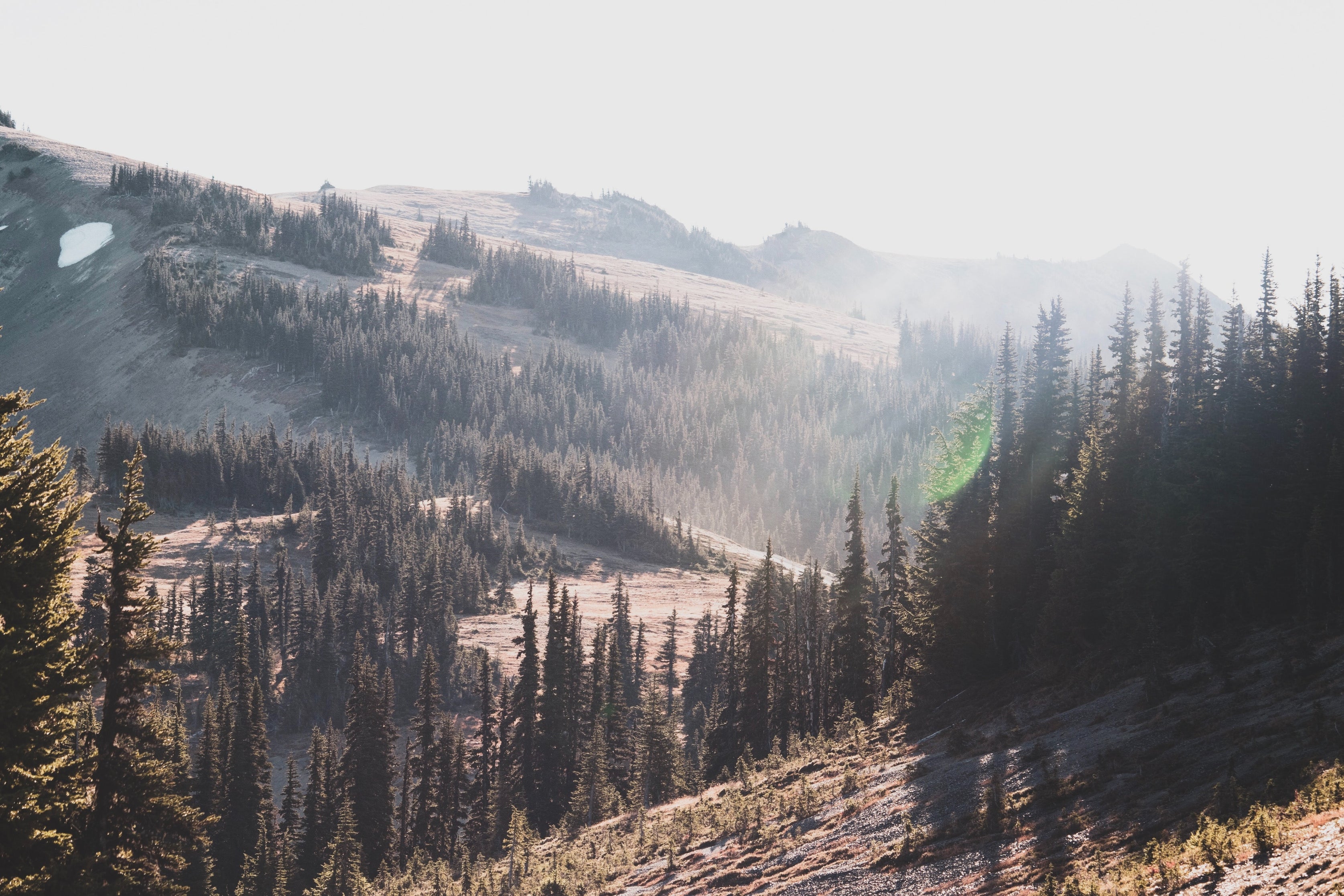 Hollywood Racks Blog - Everything you need to know about biking in one